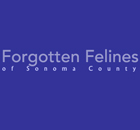Forgotten Felines - Bay Area Volunteer Information Center