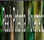 Reach Potential Movement - Bay Area Volunteer Information Center